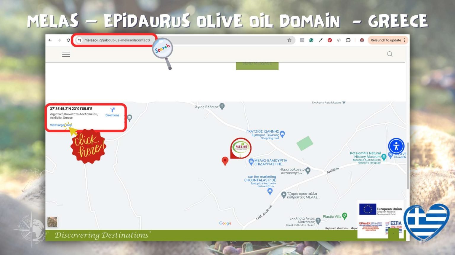 Olive Oil Experience in Greece: Discovering Melas Factory tour and Tasting