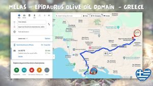 Olive Oil Experience in Greece: Discovering Melas Factory tour and Tasting